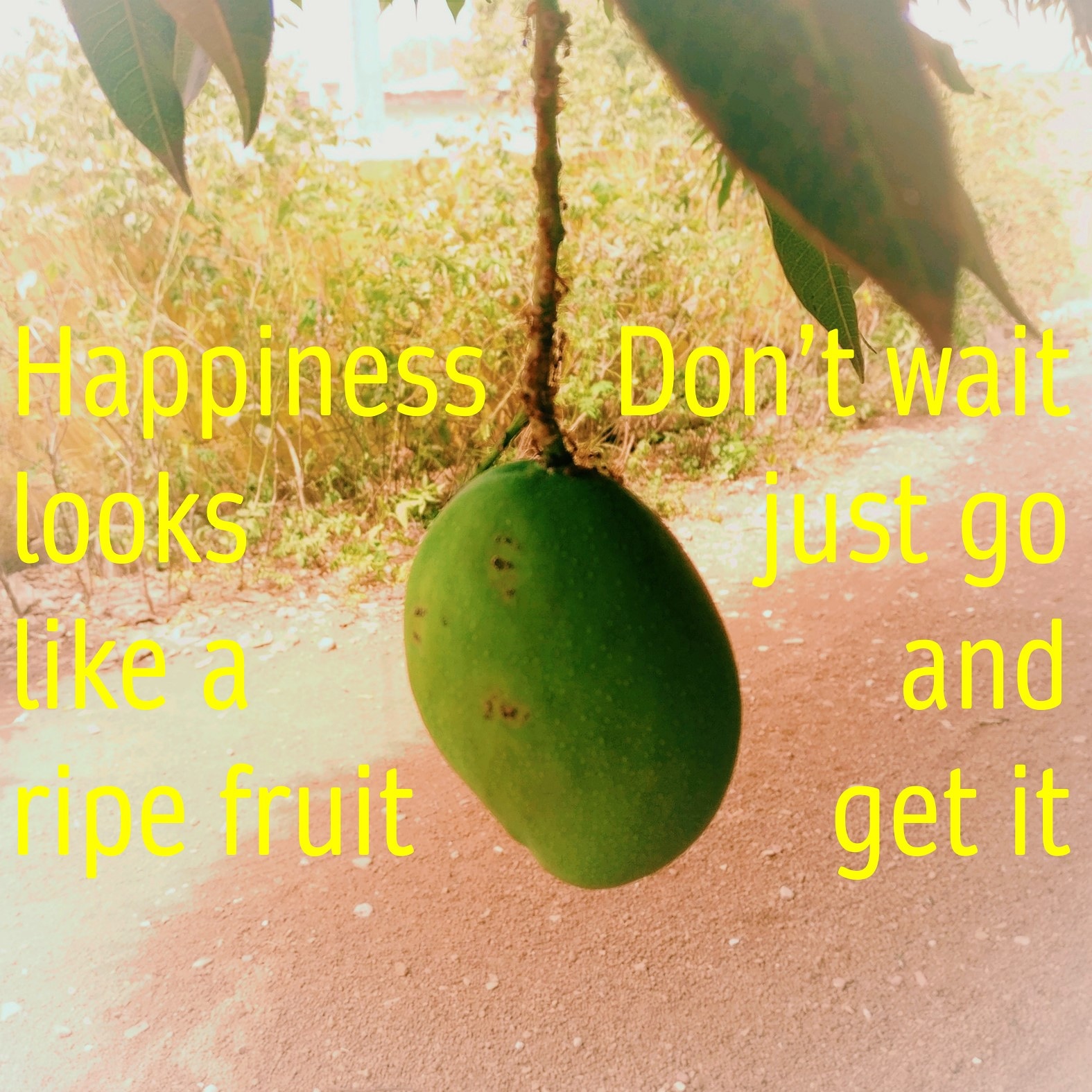 Go and get it – METANOID